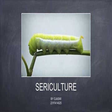 SERICULTURE.pptx