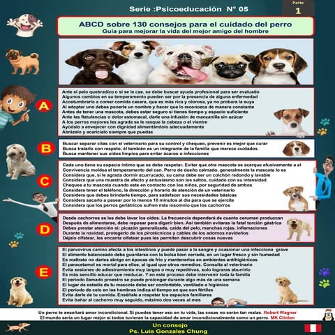 ABCD SOBRE 130 CONSEJOS PARA EL CUIDADO DEL PERRO | PPTX