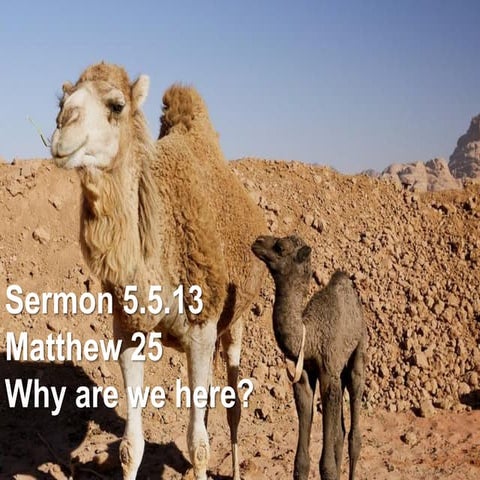 Sermon 05.05.13 - Matthew 25 - Why are we here? Brian Knight | PDF