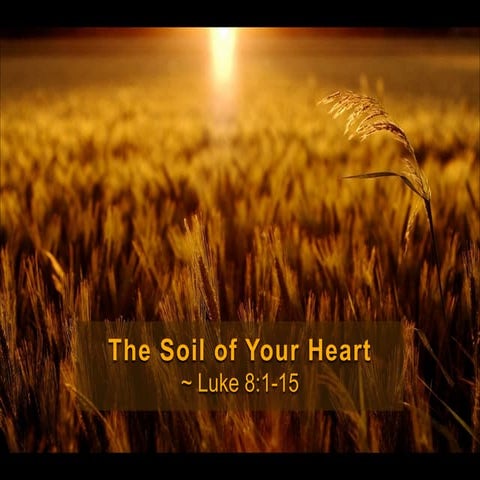 The Soil of Your Heart (Luke 8.1 15) | PDF