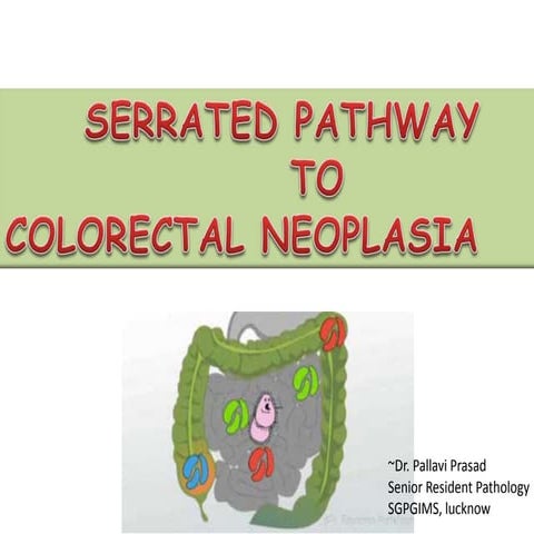 Serrated pathway to colorectal neoplasia | PPTX
