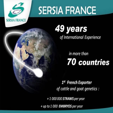 Sersia 2010 english | PPS