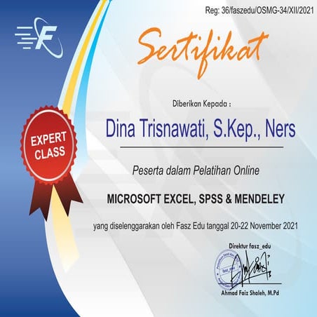 Sertifikat Microsoft Excel Dina.pdf
