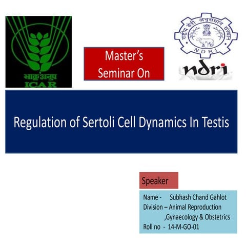 Sertoli cell credit seminar | PPTX