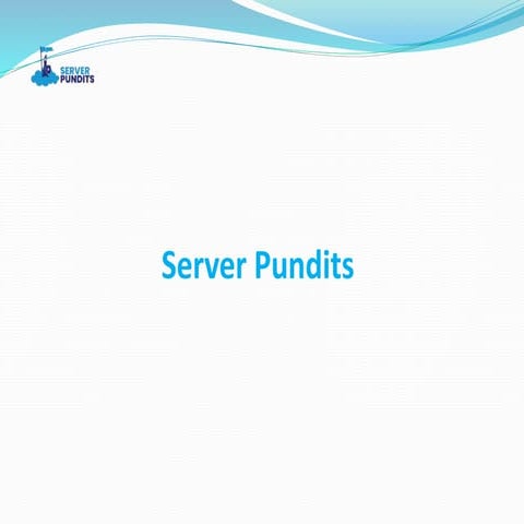 Server Pundits: Server Management Company India | PPTX