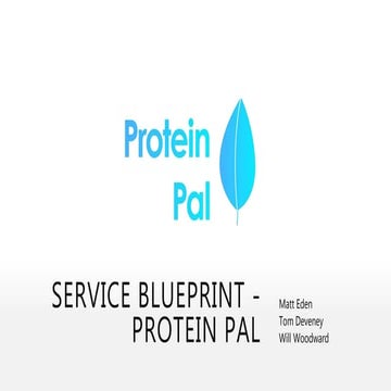 Service blueprint: Protein Pal | PPT