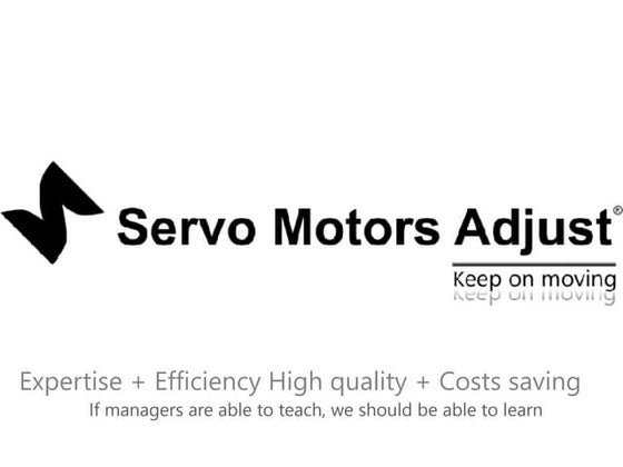 The Servo Group Flyer | PDF
