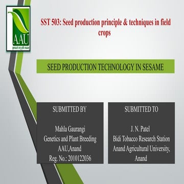 Sesame seed production (introduction).pptx