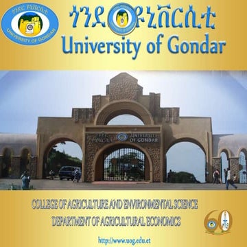 Sesame value chain finance instruments in northwestern amhara region ...