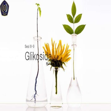 Kelompok 2 Glikosida bagian 1 08-04-23.pptx