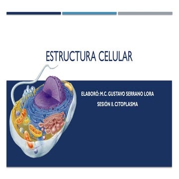 Sesión 8 Estructura celular de los seres vivos.pptx