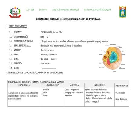 Partes De Una Celula Animal 5to Grado