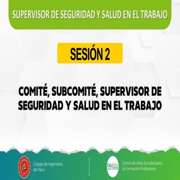 rol-del-supervisor-de-seguridad y salud en el trabajo | PDF