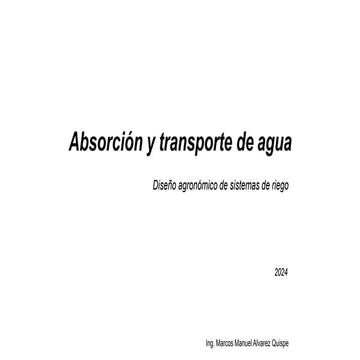 apoplasto y simplasto Absorcion del agua por las plantas | PDF