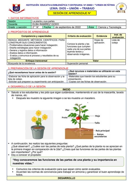 Hoja De Trabajo De Partes De La Planta, Tercer Grado Guía 3 Las