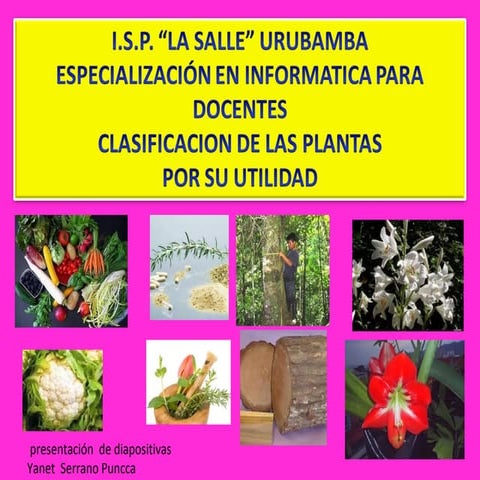 Sesion 2 clasificacion de planta | PPT