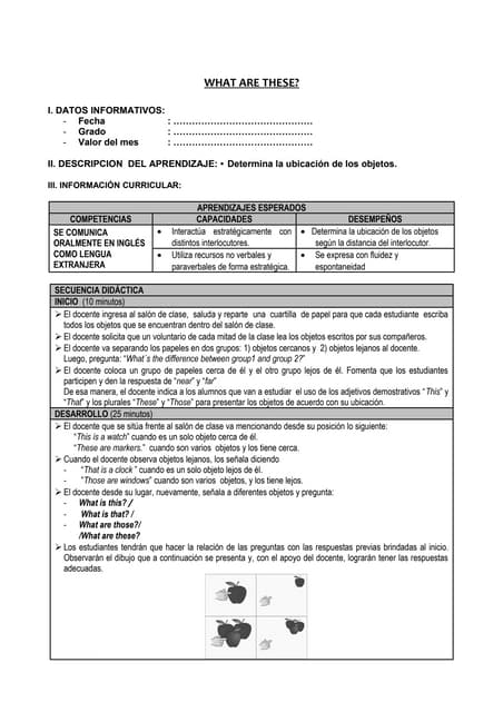 4As (Activity, Analysis, Abstraction, Application) Lesson Plan | PPT