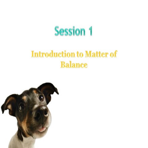 Matter of Balance: Lesson 1 | PPT