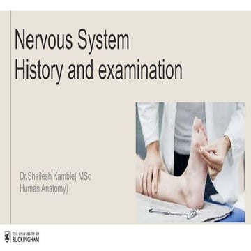 Neurological history taking (2024) . | PPTX