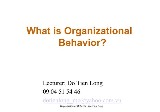 Chapter 1 Organizational Behaviour | PPTX