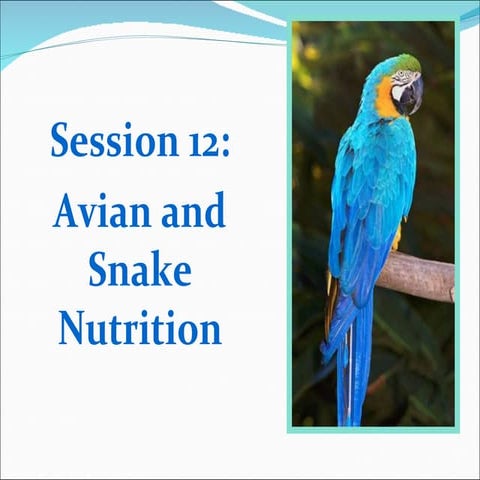 Avian & Snake Nutrition | PPT