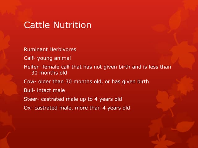Dairy cow nutrition | PPT