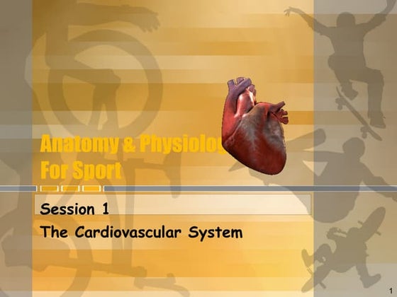 Grade11 life sciences practical task | DOCX