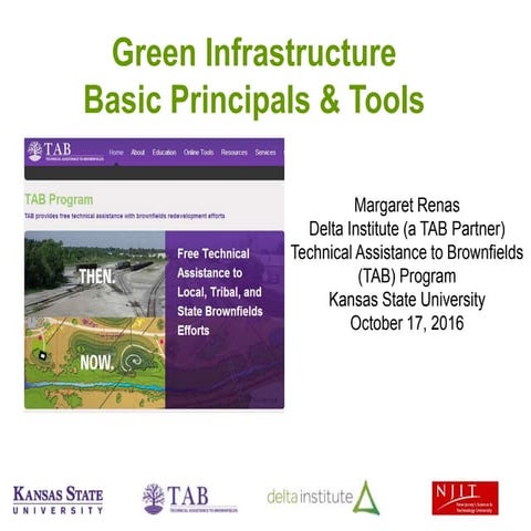 Green Infrastructure Basic Principles & Tools | PPTX