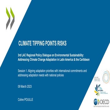 Session 1: Climate tipping points risks | PDF