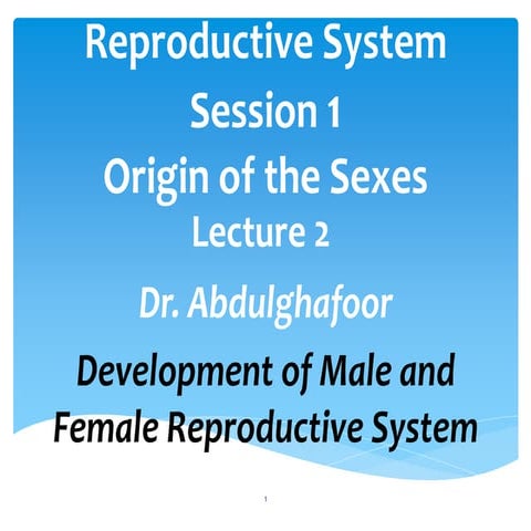 Reproductive system lecture 2 | PPTX