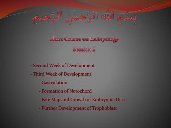 Second week of development | PPT