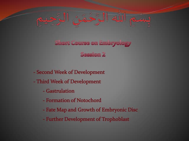 Trilaminar germ disc (week 3 embryology) | PPTX