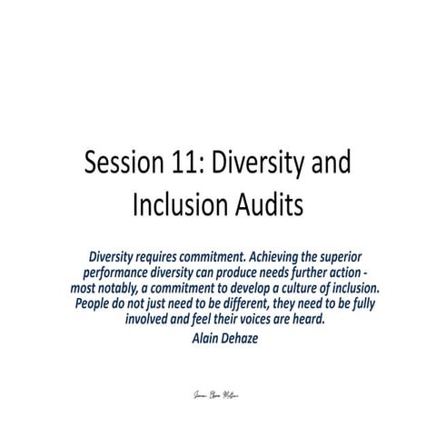 Session 2- Diversity and Inclusion Audits.pptx