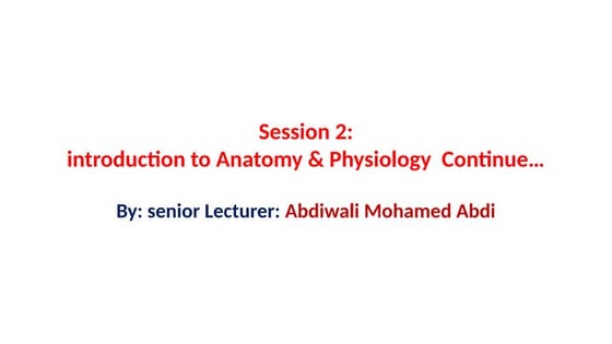 Basic anatomical terminology | PPT