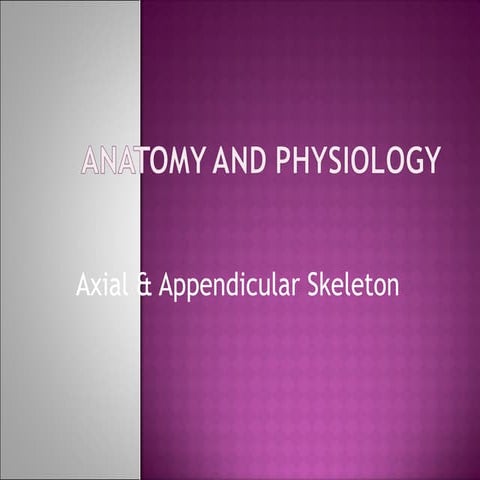 Session 2 skeletal system | PPT