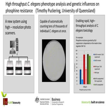 Session 3: High throughput analysis of chemical and genetic factors ...