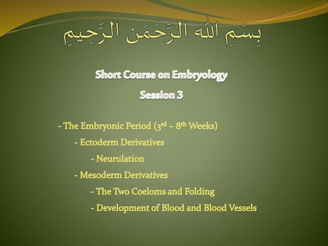 Trilaminar germ disc (week 3 embryology) | PPTX