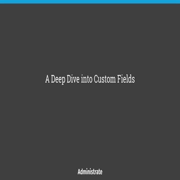 Custom Fields_BLG Build.pdf