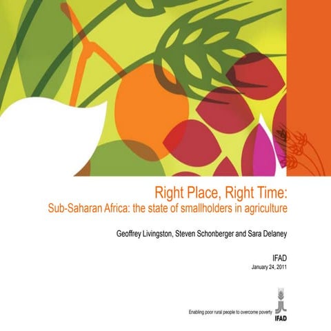 Sub-Saharan Africa: The state of smallholder in agriculture | PPT
