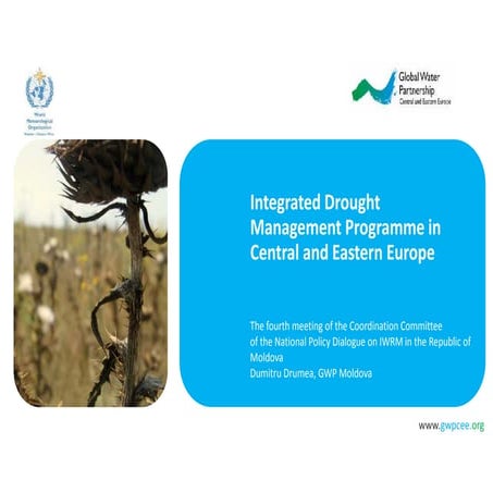 Integrated Drought Management Programme in Central and Eastern Europe by Dumitru Drumea | PPT