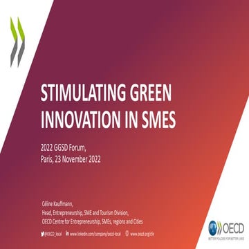 2022 GGSD Forum- Session 4 Scene Setter-Celine Kauffmann | PPT