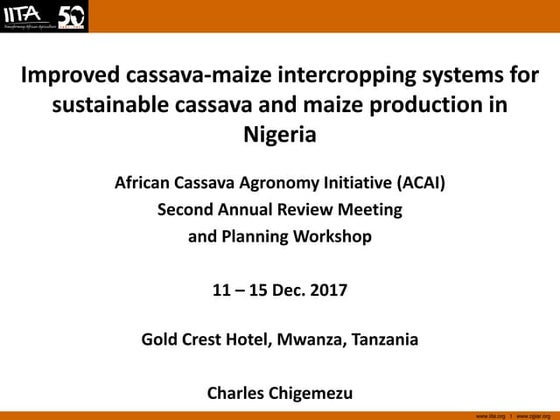 Session 4 improved cassava maize intercropping systems for sustainable ...