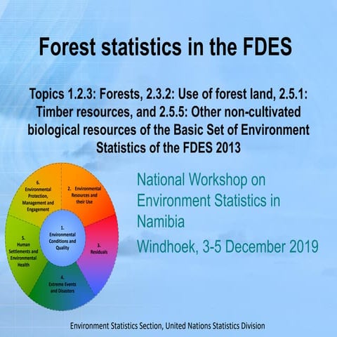 Session 5.2.2 UNSD Forest statistics training module_Forest statistics ...