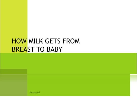 Lactation | PPT | Pregnancy | Reproductive Health