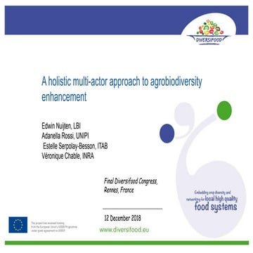 Nutrition and HIV - AIDS: Keyhole Gardens in Lesotho | PDF