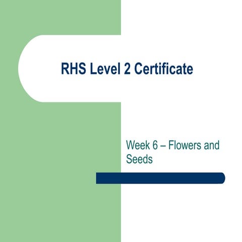 RHS Level 2 Year 1 Week 6 2011 | PPT