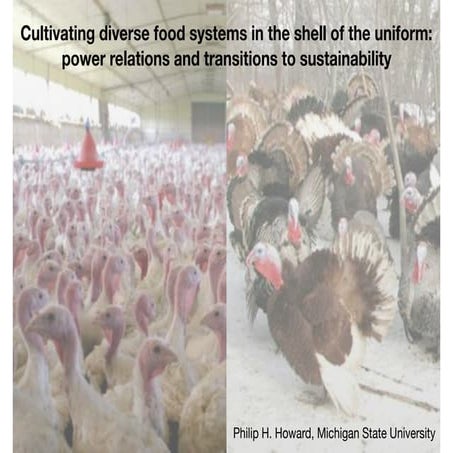 Nutrition and HIV - AIDS: Keyhole Gardens in Lesotho | PDF