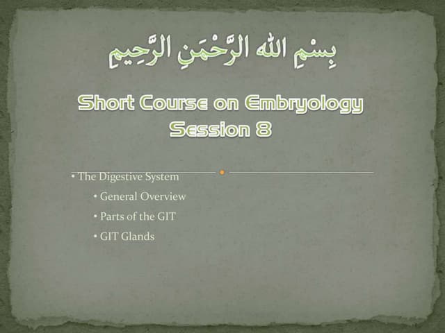 Development of Midgut & Hindgut | PPTX | Digestive Disorders | Diseases ...