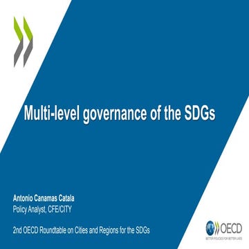 Multi-level governance of the SDGs | PPTX