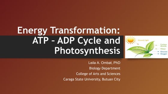 Cellular Respiration | PPT